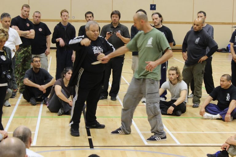 What is Systema? | SystemaTibi