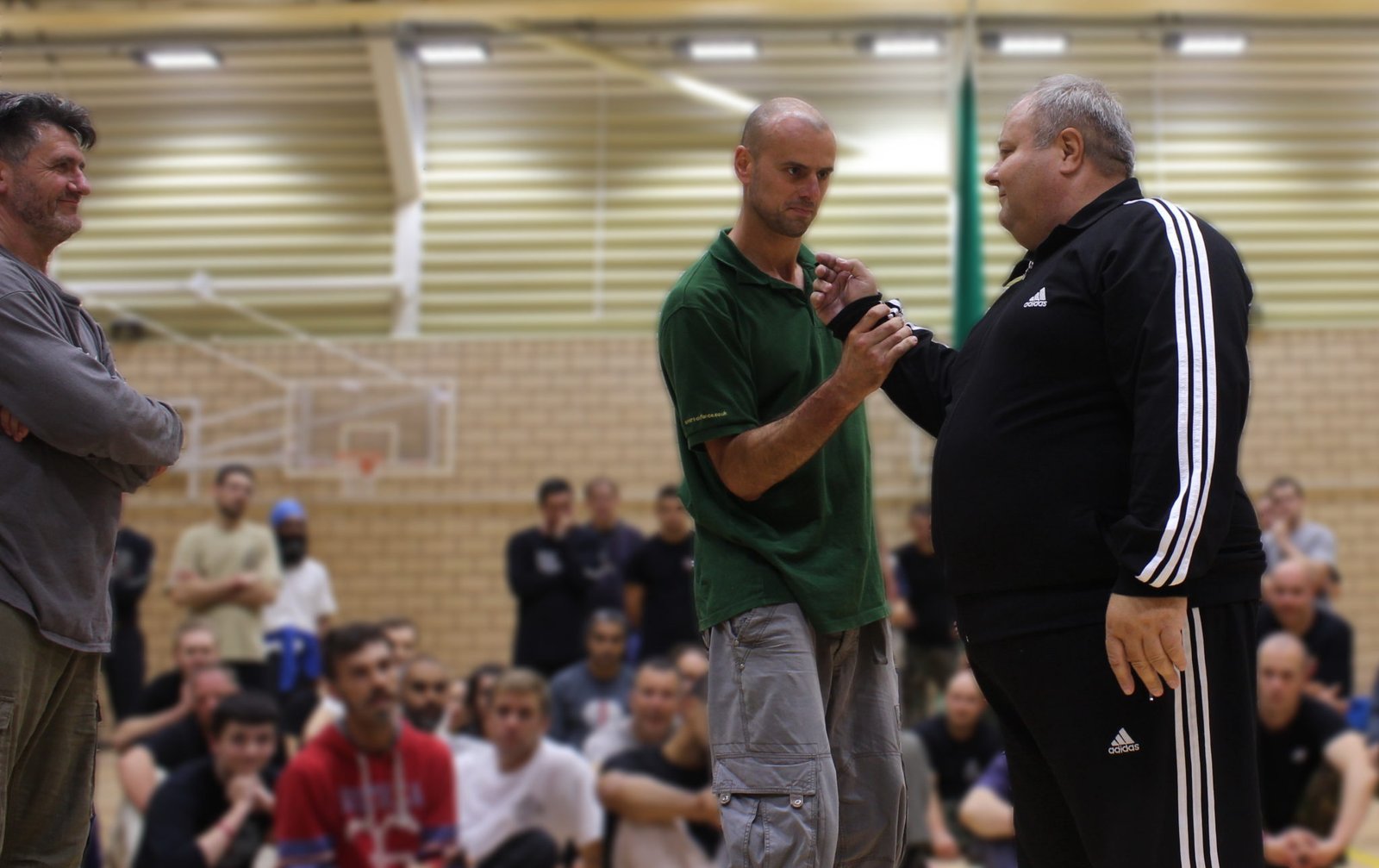 History of Systema | SystemaTibi